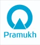 PRAMUKH PHARMA TECH Contact Detail